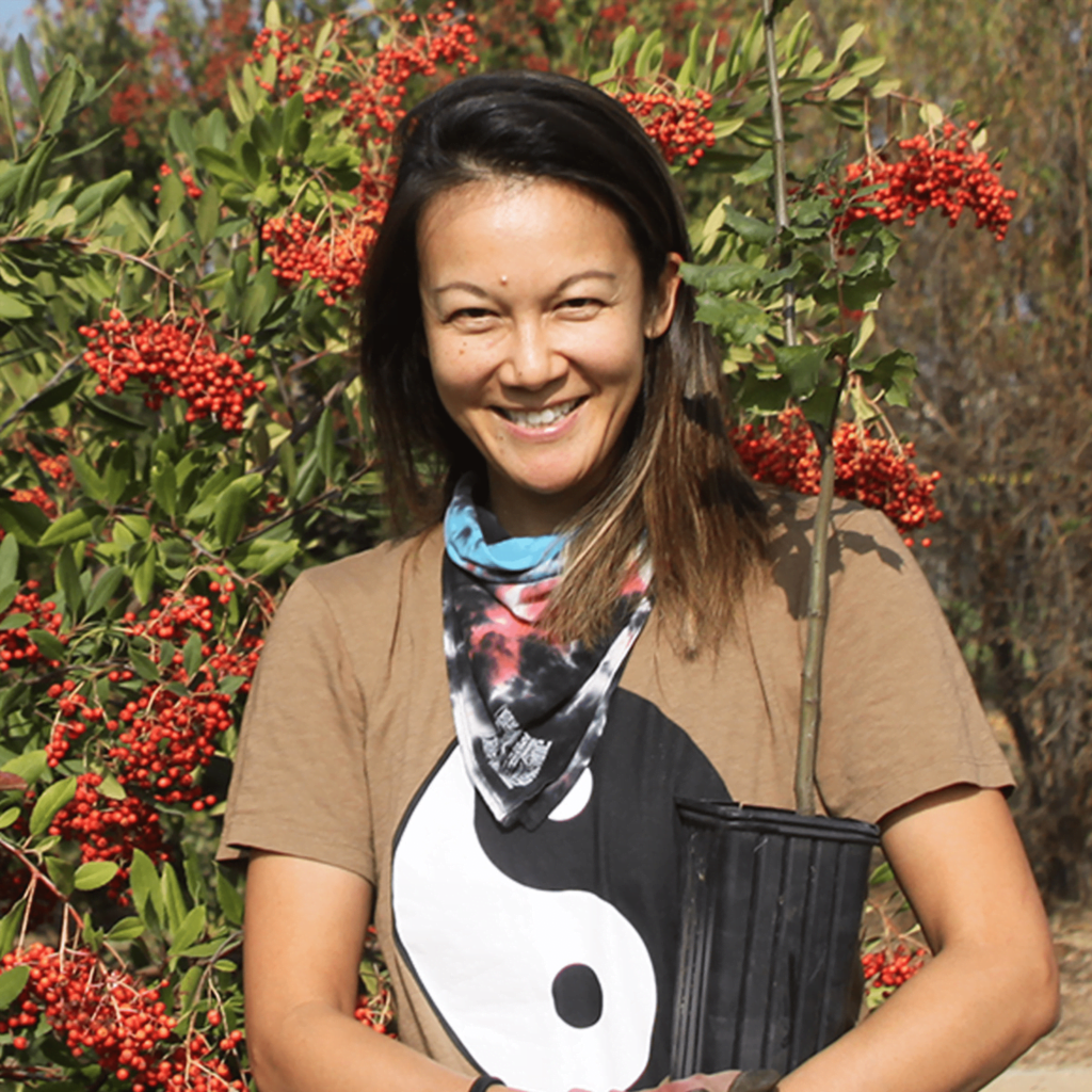 Bigger Than A Street, Smaller Than A City - Test Plot - A+D Museum